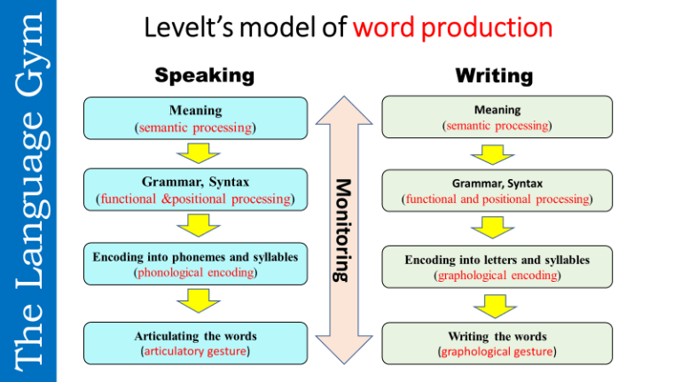 The Language Gym | by Gianfranco Conti, PhD. Co-author of 'The Language ...
