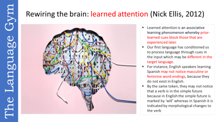 The Language Gym | by Gianfranco Conti, PhD. Co-author of 'The Language ...