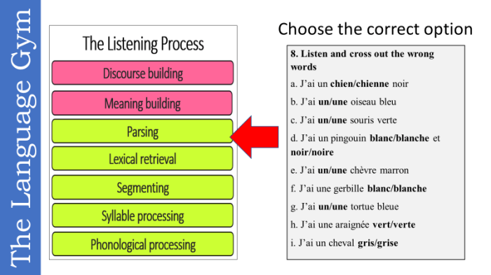The Language Gym | by Gianfranco Conti, PhD. Co-author of 'The Language ...