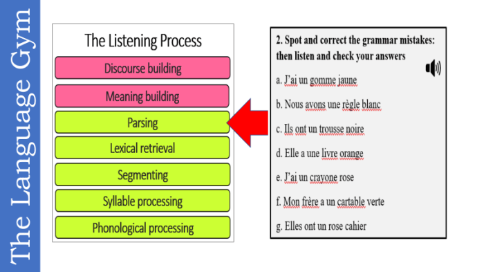 There’s more to L2 grammar acquisition than meets the eye: learned ...