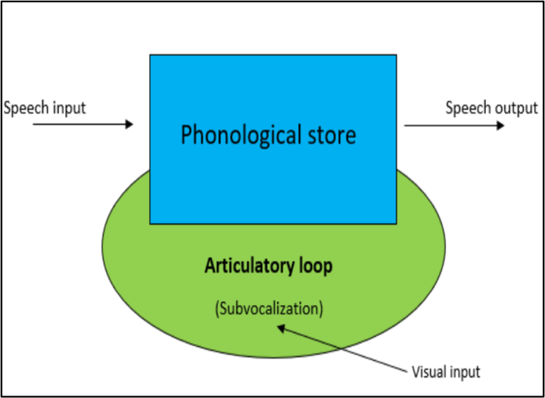 Why sound is so KEY to Second Language Acquisition – Phonological ...